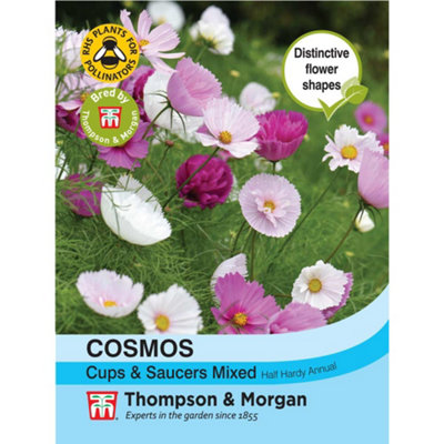 Cosmos bipinnatus Cups & Saucers Mixed 1 Seed Packet (50 Seeds) | DIY ...