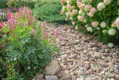 20 unique garden path ideas at B&Q