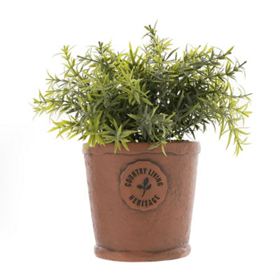 Country Living Aged Faux Herb Pot