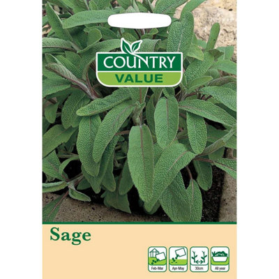 Country Value Sage Vegetable Seeds