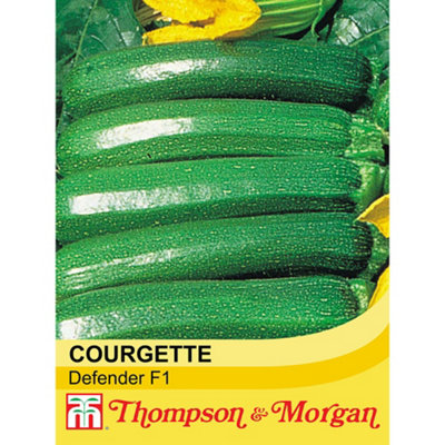 Courgette Defender F1 Hybrid 1 Seed Packet (12 Seeds) | DIY at B&Q