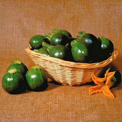 Courgette Tricolour 1 Seed Packet (6 Seeds)