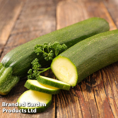 Courgette (Zucchini) 1 Packet (25 Seeds)