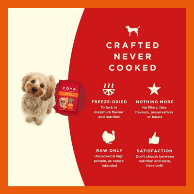 Coya Freeze-Dried Raw 12pk Adult Dog Treats - Turkey - 12 x 40g