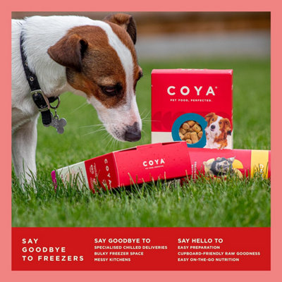 Coya Freeze-Dried Raw 3pk Adult Dog Food - Fish - 3 x 650g