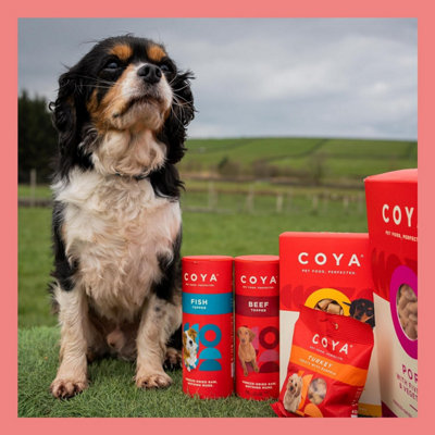 Coya Freeze-Dried Raw 6pk Adult Dog Food Topper - Fish - 6 x 50g