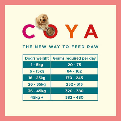 Coya Freeze-Dried Raw Adult Dog Food - Fish - 150g