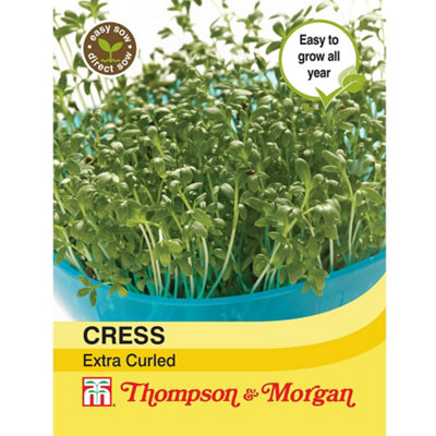 Cress Extra Curled - Rhs Kids 1 Seed Packet (200 Seeds)