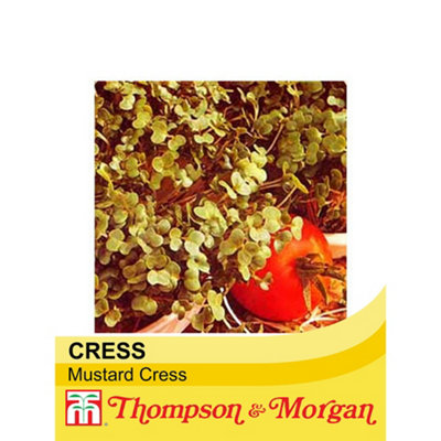 Cress Seeds - Mustard 1 Packet (800 Seeds)