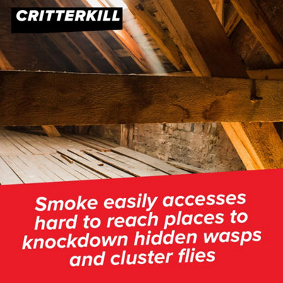 CritterKill Wasp and Cluster Fly Killer One Click Smoke Fogger 150ml ...
