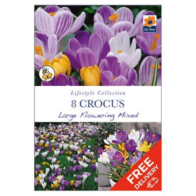 Crocus Large Flowering Mixed - Spring Flower Bulbs - 8 Bulbs | DIY at B&Q