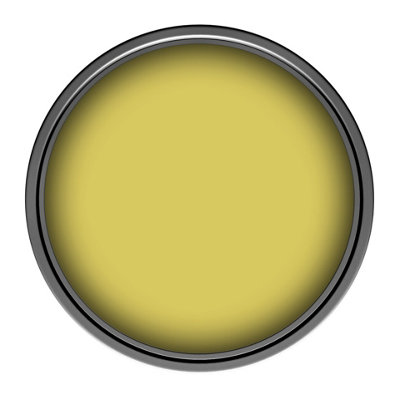 Crown Trade Vinyl Matt Walls & Ceilings Emulsion Paint Chartreuse Mix ...