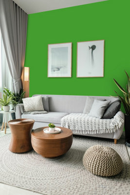 Crown Trade Vinyl Matt Walls & Ceilings Emulsion Paint Pantone 368 C 2X ...