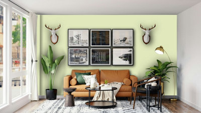 Crown Trade Vinyl Matt Walls & Ceilings Emulsion Paint Soft Lime ...