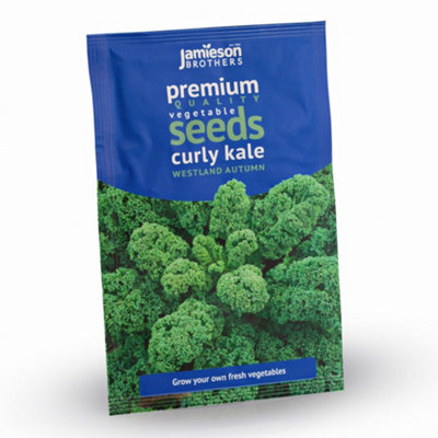 Curly Kale Blue Scotch Vegetable Seeds (Approx. 155 seeds) by Jamieson ...