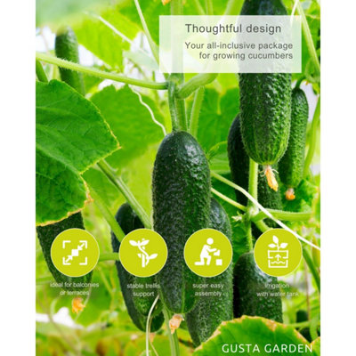 CURT CUCUMBER cucumber planter with water tank - Dark Green