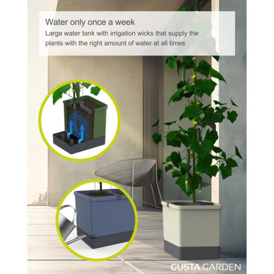 CURT CUCUMBER cucumber planter with water tank - Dark Green