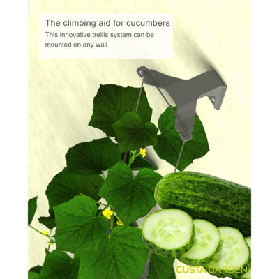 CURT CUCUMBER cucumber planter with water tank - Dark Green