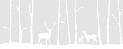 d-c-fix Birch Woods 20cm x 1.5m Premium Static Cling Vinyl Window Film ...