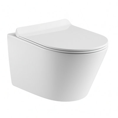 D Pro T Bathrooms Wall Hung Toilet Rimless DPT Pan, Seat