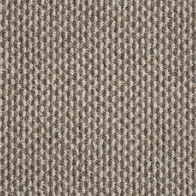 Dakar Bleach Cleanable Carpet by Remland (Driftwood, 2m x 4m)