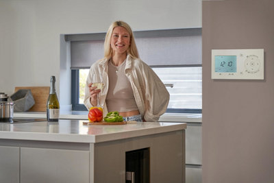 Danfoss FP720 V2 Programmer 2 Channel - Danfoss FP715SI Direct Replacement