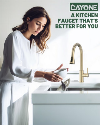 DAYONE Gold Kitchen Mixer Tap with Pull Out Spray, SUS304 Stainless ...