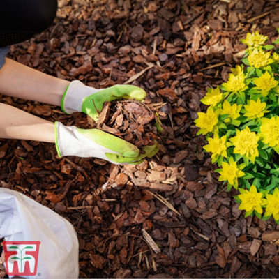 Decorative Garden Bark 1 x 80 Litre Bag - Ideal for Adding a ...