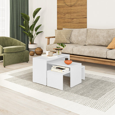 Multipurpose coffee table store