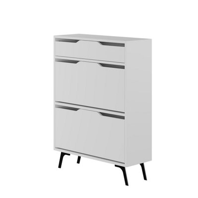 Decortie Modern Asta Shoe Cabinet White 2 Cabinet Storage for Shoes and ...