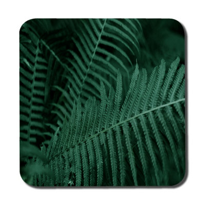 Deep green fern leaves texture. Fern in the forest. Plants background ...