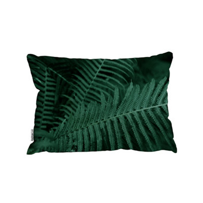 Deep Green Fern Leaves Texture. Fern In The Forest. Plants Background ...