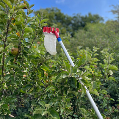 Deluxe Lightweight Telescopic Apple & Fruit Picker with Extra Picking Head
