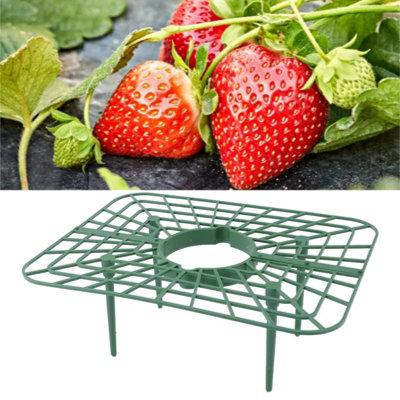 Detachable Waterproof Strawberry Rack-Reusable Support for Indoor ...