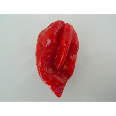 Devils Tongue Chilli Seeds - Rare Red Variety - 10 Fresh Seeds