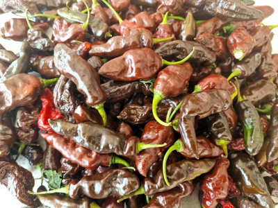 Devils Tongue Chocolate Chilli Seeds - 10 Fresh Seeds