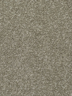 Devotion Gold Bleach Cleanable Carpet by Remland (Clay, 1m x 5m)