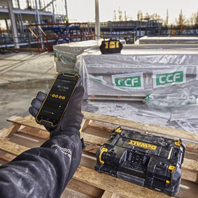 Dewalt dab radio tstak store