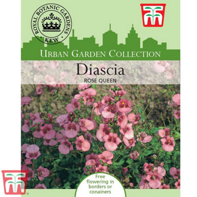 Diascia Barberae Rose Queen 1 Seed Packet (80 Seeds)