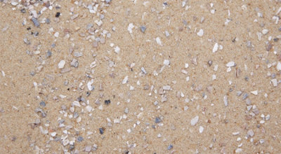 Dihl 10KG Aviary Bird Cage Sand with Oystershell, Calcium & Minerals ...