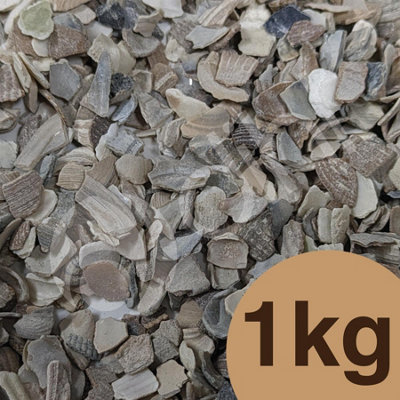 Dihl 1KG Poultry Oyster Shell Grit - High in Calcium & Enhancing Strong ...
