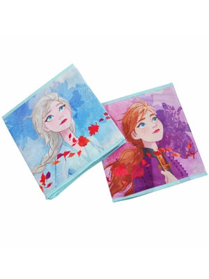 Disney Frozen Cube Storage Boxes