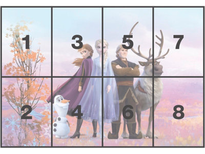 Disney Frozen Iconic Wall Mural, 2.54m x 3.68m