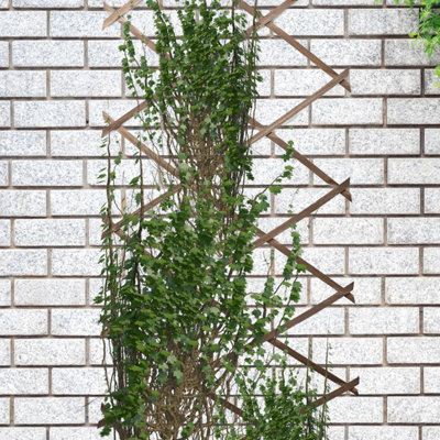 DIVCHI Wooden Trellis Expandable Garden Wall Trellis For Climbing ...