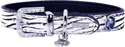 DO&G Safari Zebra Print Bling Dog Collar Leather