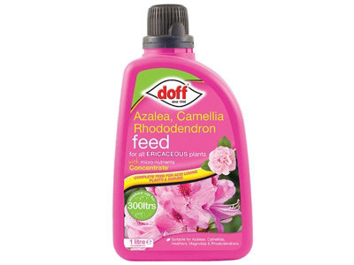 DOFF F-JI-A00-DOF Azalea Camellia & Rhododendron Feed 1 litre DOFJIA00 ...