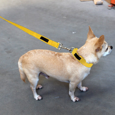 Dog Lead Neoprene Padded Waterproof Comfort Leash 6ft Neoprene Long Yellow