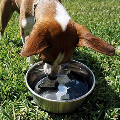 Dog Rocks Lawn Protection - Urine Neutraliser Natural Mineral Pebbles ...