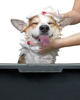 dog washing/shampoo bath with drain plug,90l capacity suits spaniel ...