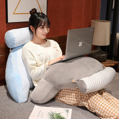 Dolphin Size 65plus40 Multi-Functional Lumbar Support Bed Pillow